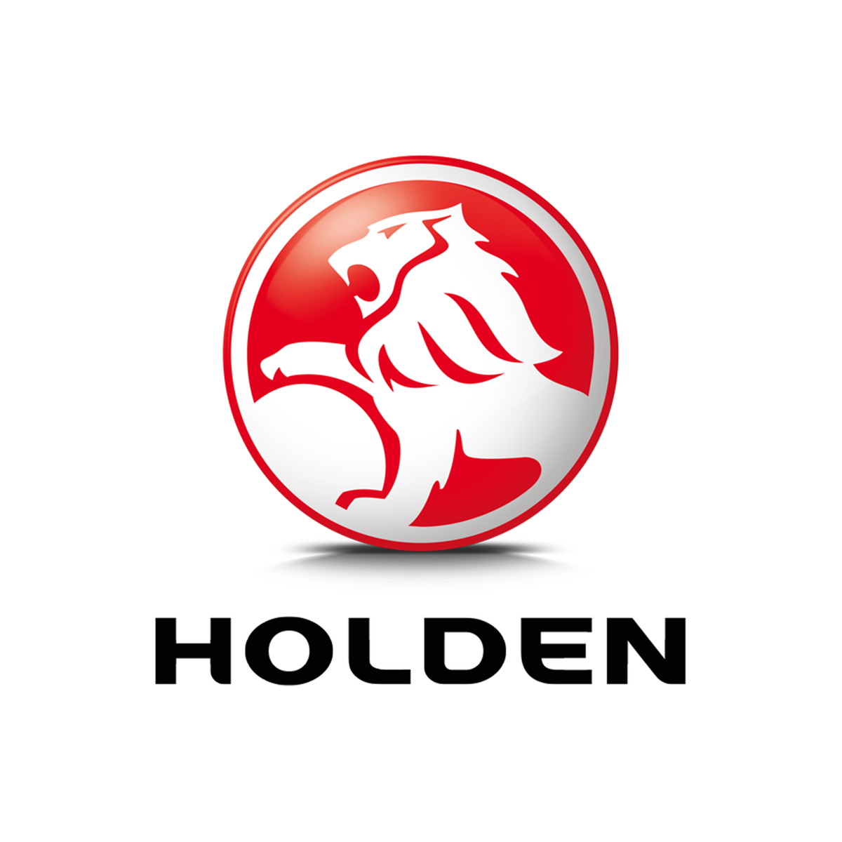 Holden – Tagged "Commodore Sports Wagon"– FastCars Vehicle Templates